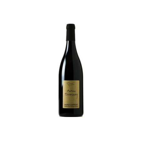Domaine Antoine Sanzay Saumur-Champigny 2018